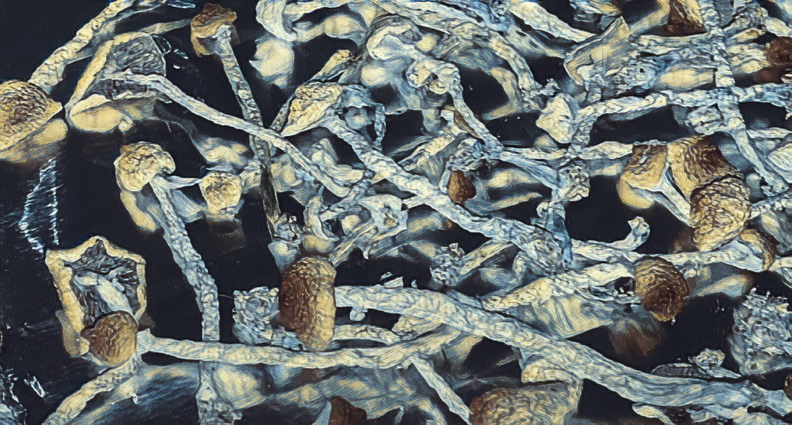 Shroom Nausea, How to avoid nausea from magic shrooms? - PSYfront